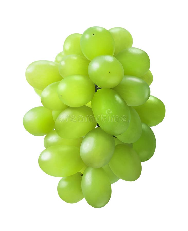 132,538 Grapes Bunch Stock Photos - Free & Royalty-Free Stock Photos ...