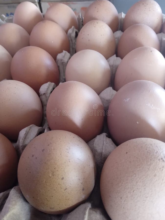 An Oval-shaped Object that is Widely Used by Everyone To Eat Stock ...