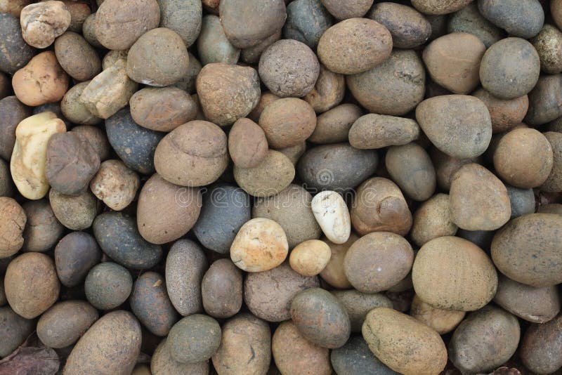 Oval stone stock photo. Image of rock, pebble, walkside - 46002738