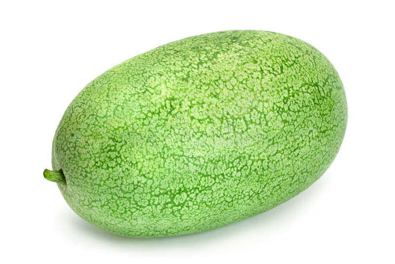 Oval watermelon on white stock image. Image of healthy - 127281295