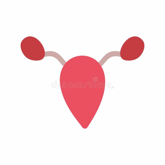 Ovary Icon vector image. stock vector. Illustration of anatomy - 373505316