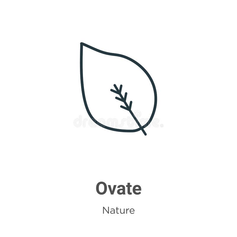 Ovate Outline Vector Icon. Thin Line Black Ovate Icon, Flat Vector ...