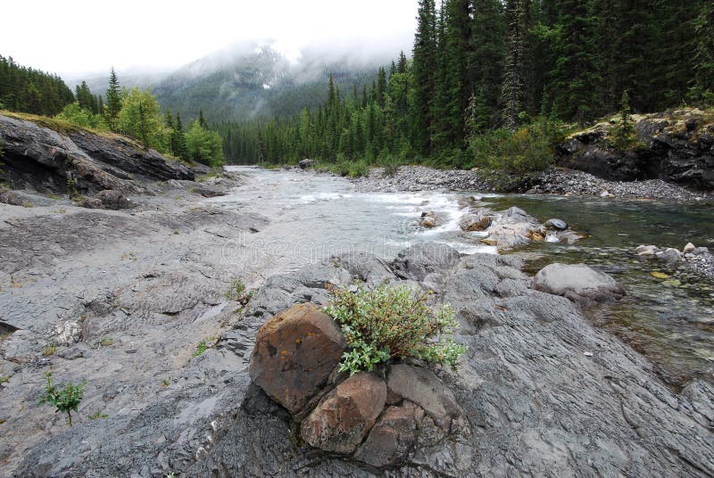 23,642 Ovejas Del Valle Fotos de stock - Fotos libres de regalías de ...