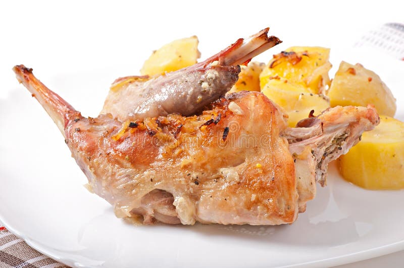 Oven Baked rabbit legs stock image. Image of meat, jackrabbit - 41097355