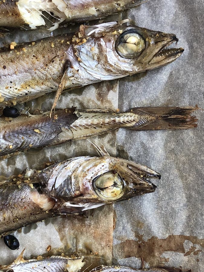 Oven Baked Small Fish stock photo. Image of meat, food - 188167250