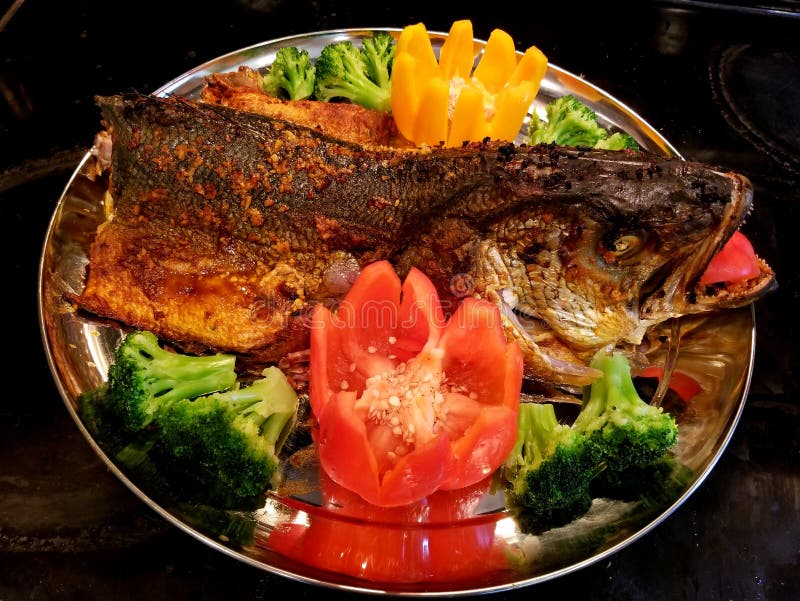 Oven-cooked bluefish head stock image. Image of homemade - 182100579
