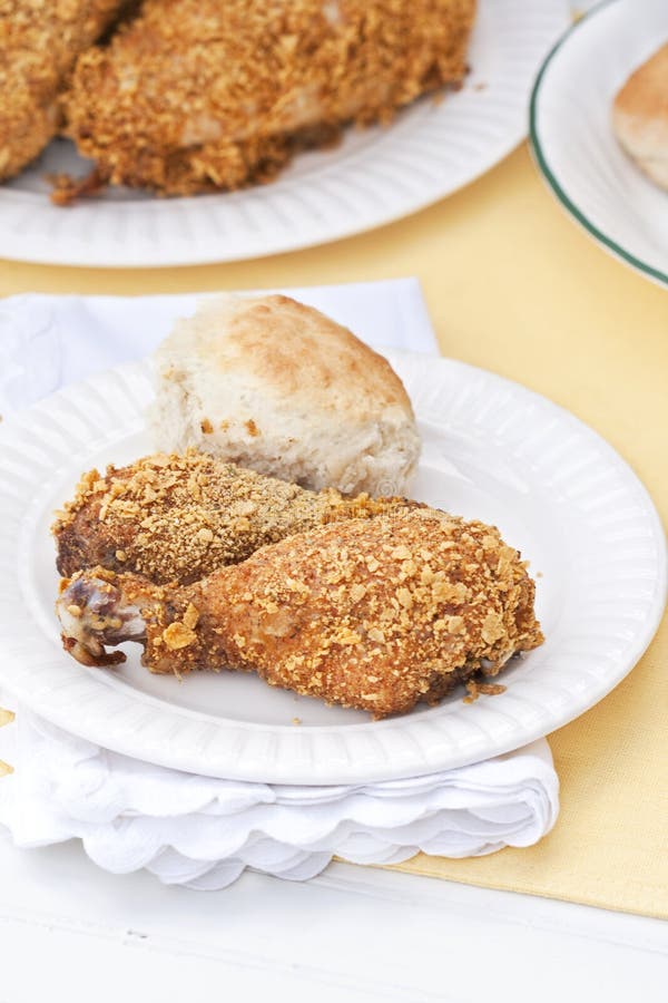 Oven Fried Skinless Chicken Stock Photo - Image of poultry, delicious ...