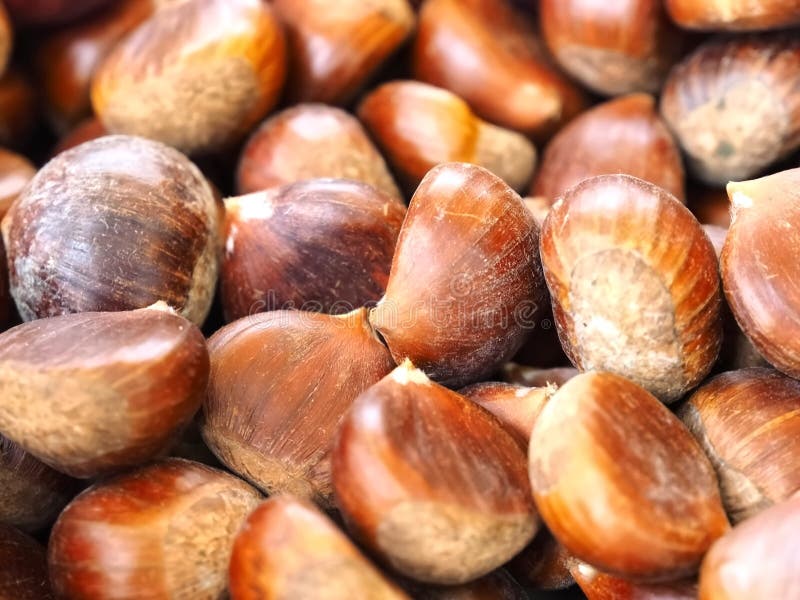 Oven Roasted Chestnuts on a Grill Stock Photo - Image of baked, maroon ...