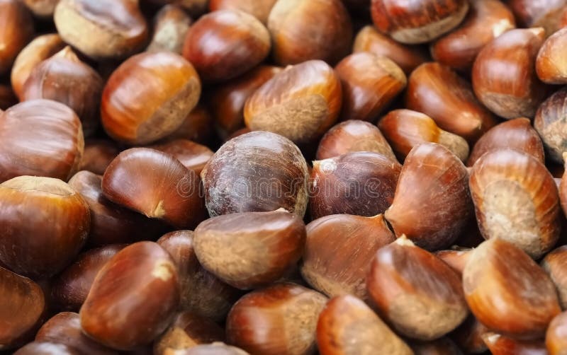 Oven Roasted Chestnuts on a Grill Stock Image - Image of brown, crust ...