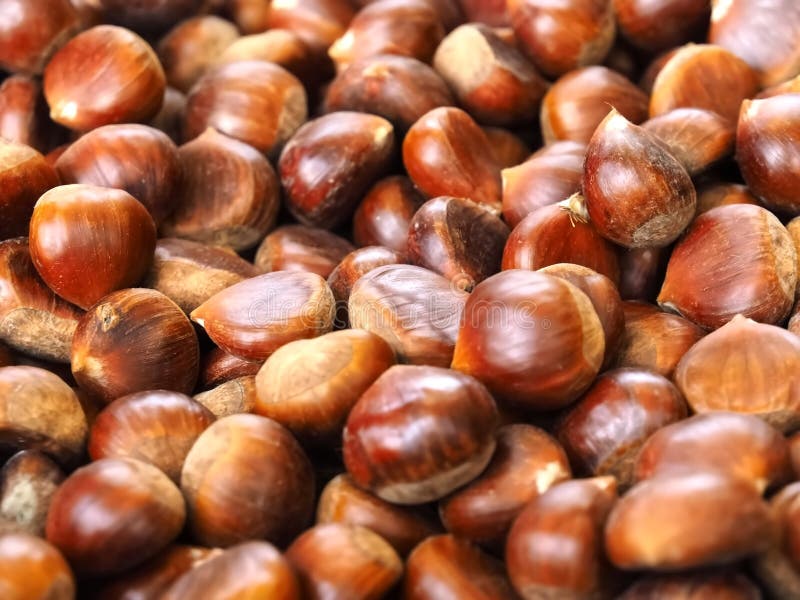 Oven Roasted Chestnuts on a Grill Stock Image - Image of oven, chimney ...