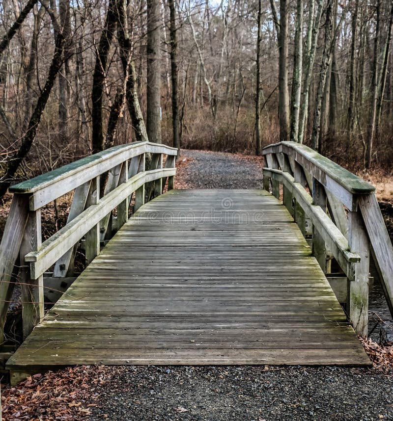 Walking Bridge On Trail In The Woods Stock Image - Image of nature ...