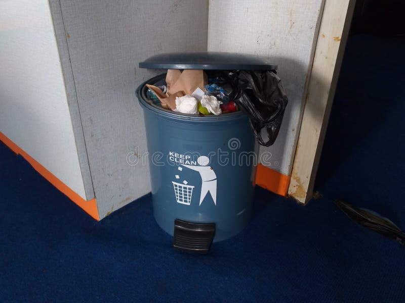 Over-capacity Bins Trigger the Onset of Bacteria and Diseases for the ...