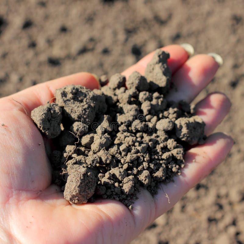 Over-dried soil stock photo. Image of soft, desert, hand - 70770902