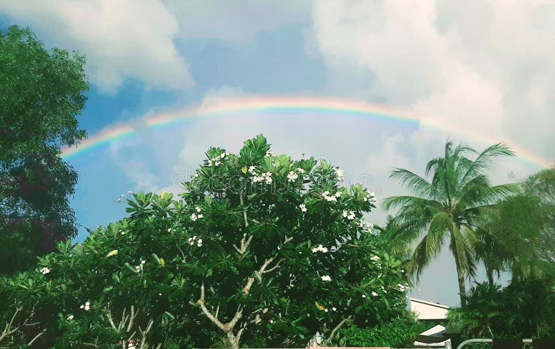 Over the rainbow stock image. Image of flowers, rainbow - 218248185