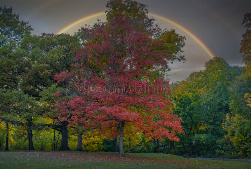 Flymemoon Stock Photos - Free & Royalty-Free Stock Photos from Dreamstime