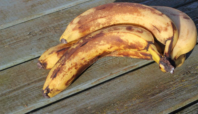 Over ripe or bad bananas. stock image. Image of - 52727637