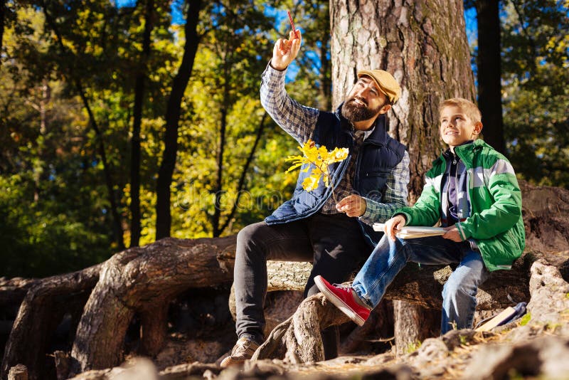 Pleasant Nice Man Pointing at the Tree Stock Image - Image of forest ...