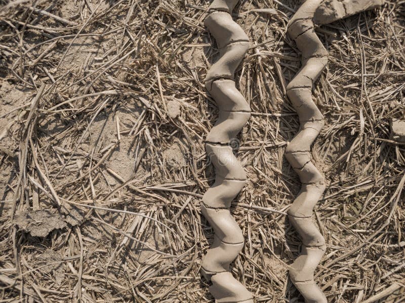 Over the Top Shot of Two Parallel Lines Made from Left-over Dry Mud ...