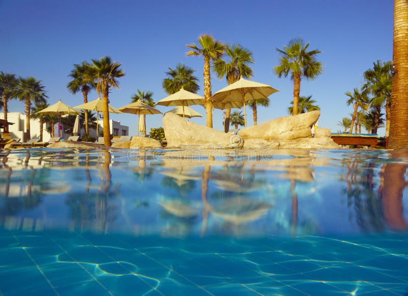 Over Under Poolside View from the Pool Stock Image - Image of edge ...