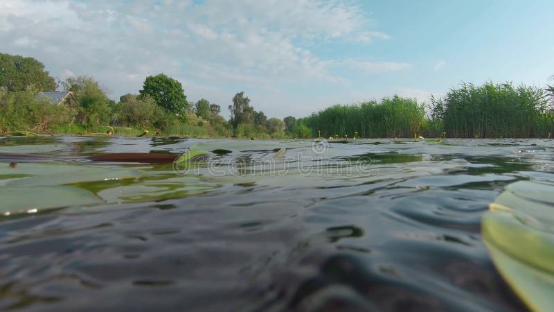 Over and Under River Water Surface - Slow Motion Stock Video - Video of ...