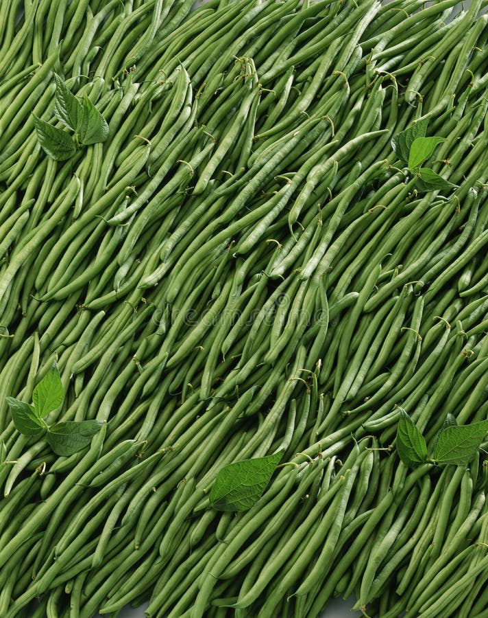 Overall of green beans stock image. Image of color, bean - 23709121
