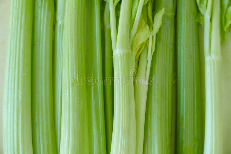 Overall Pattern of Light Green Celery Stalks Stock Image - Image of ...
