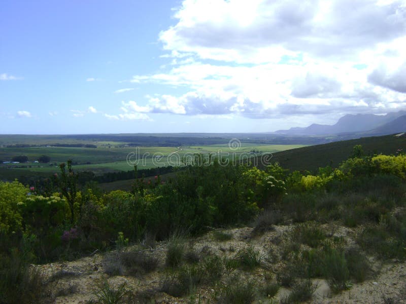 Overberg landscape stock photo. Image of green, vegetation - 79564372