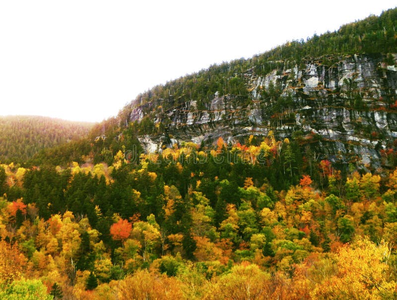 Overblown Fall Picture. Image: 92589979