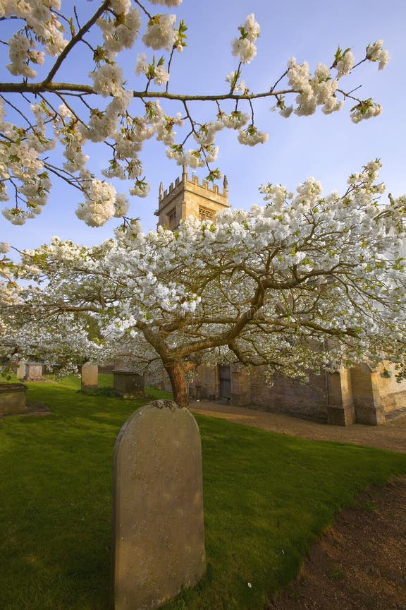 Overbury stock photo. Image of grass, beautiful, park - 4388756