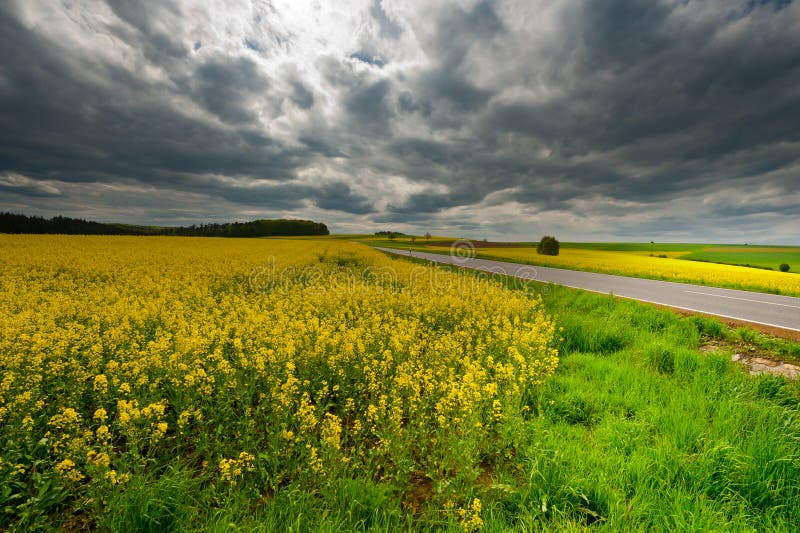 Overcast stock photo. Image of field, countryside, land - 27311648