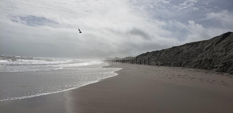 Overcast beach day stock image. Image of ocean, cloudy - 169234033