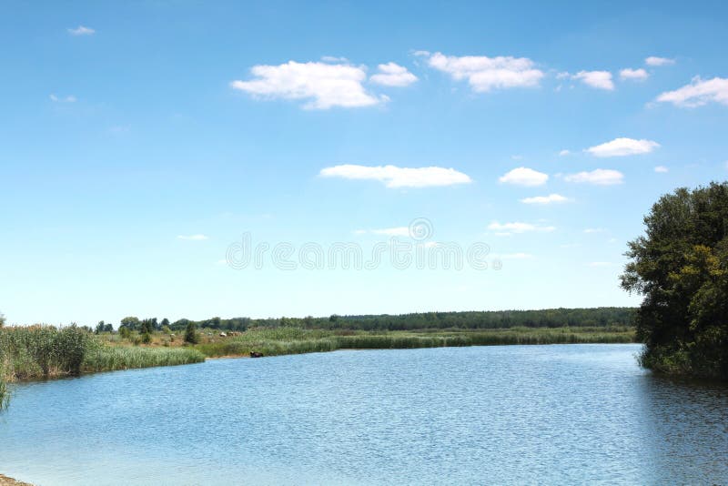 Overcast day in summer stock photo. Image of natural - 39634206