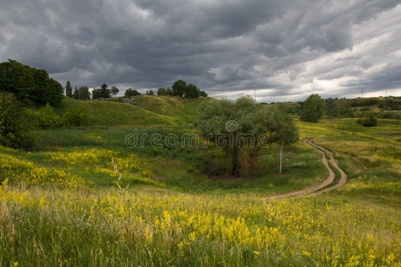 Overcast day in summer stock photo. Image of reflection - 56552040