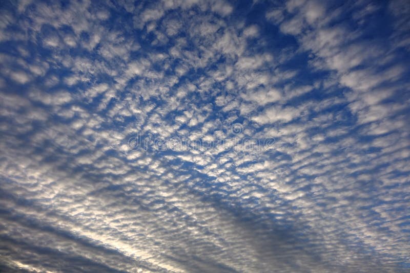 Overcast daylight sky. stock image. Image of fluffy, bright - 79293281