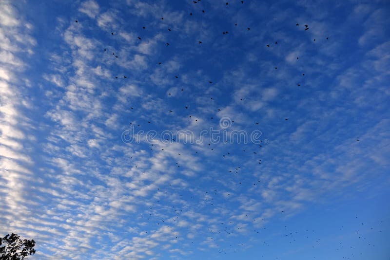 Overcast daylight sky. stock image. Image of haze, natural - 79294183