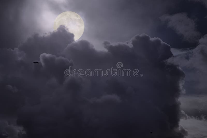 Overcast full moon night stock photo. Image of dusk - 199458606