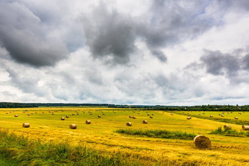 Overcast over the field stock image. Image of grass - 240714575