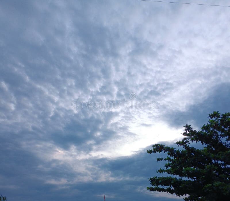 Overcast Sky with Tree Silhouette Stock Image - Image of silhouette ...