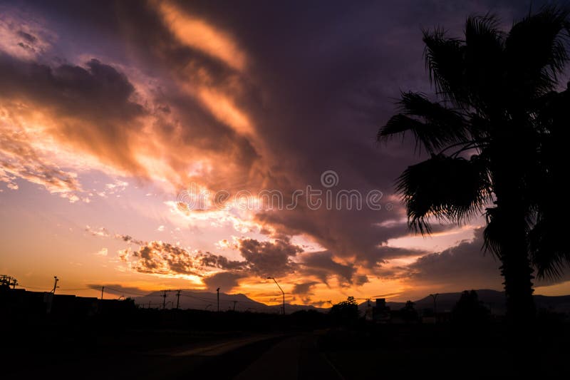Overcast stock photo. Image of town, palm, clouds, city - 71368746