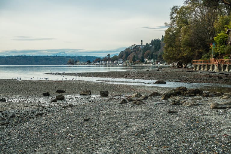 Overcast Three Tree Point stock image. Image of tide - 82100875