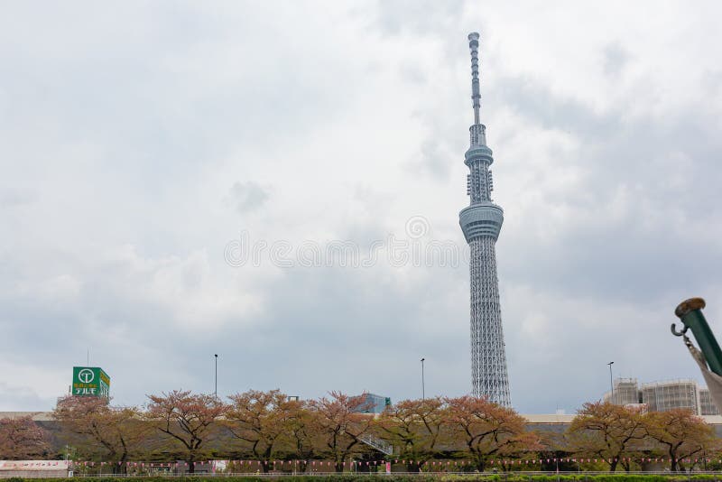 Overcast View of the Cityscape and Tokyo Skytree Editorial Photo ...