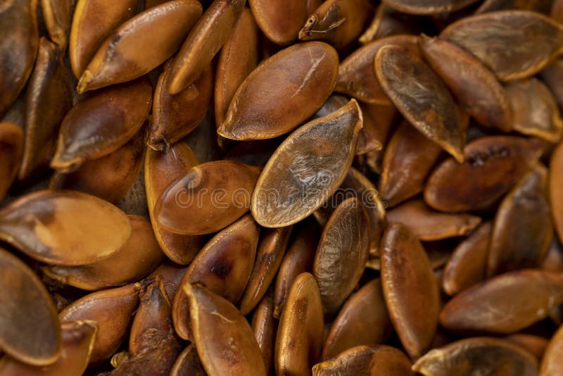Overcooked or Burnt Pumpkin Seeds on the Table Stock Image - Image of ...