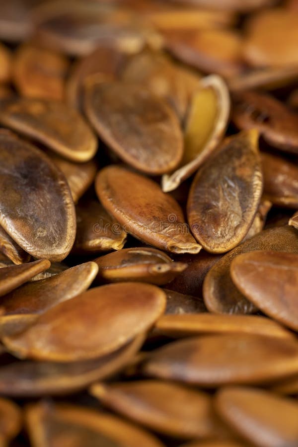 Overcooked or Burnt Pumpkin Seeds on the Table Stock Image - Image of ...