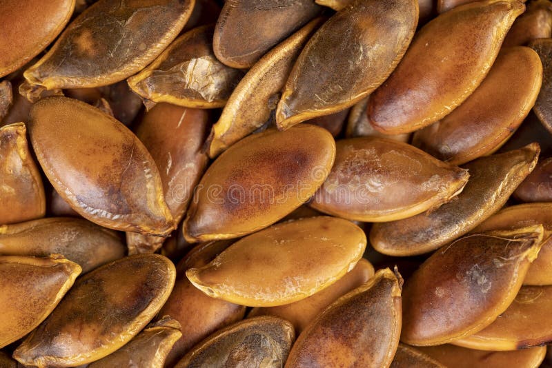 Overcooked or Burnt Pumpkin Seeds on the Table Stock Photo - Image of ...