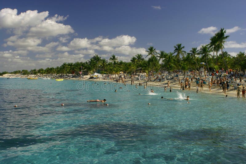 Forest stock image. Image of gods, heavenly, daybreak, fingers - 610681