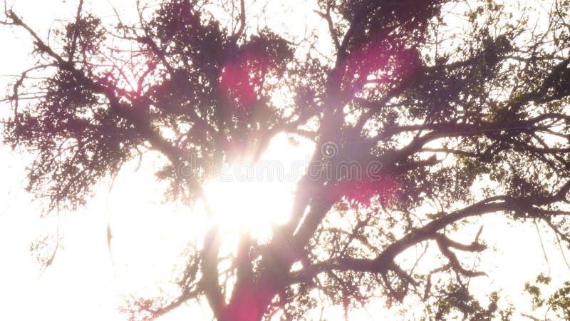 Hyperexposed Stock Photos - Free & Royalty-Free Stock Photos from ...