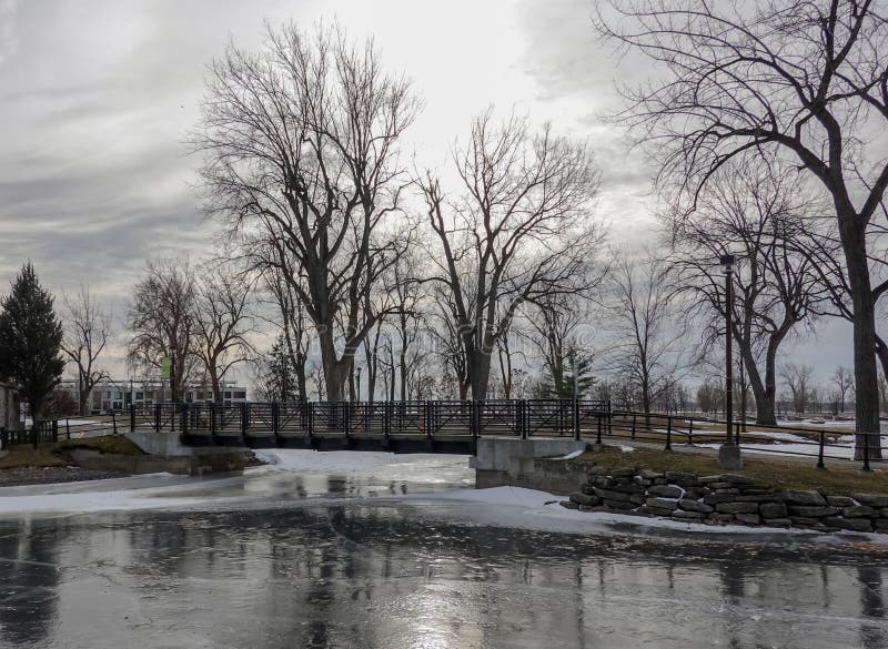 Overexposed Sun Behind Deciduous Trees in Winter Reflecting into the ...