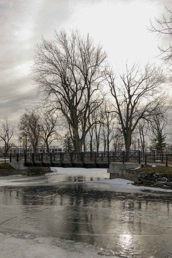 Overexposed Sun Behind Deciduous Trees in Winter Reflecting into the ...