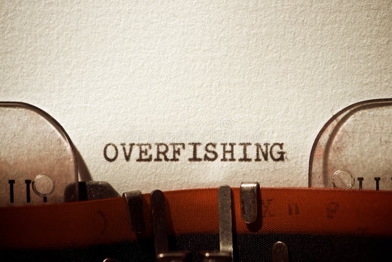 Overfishing concept view stock image. Image of overfishing - 266046999