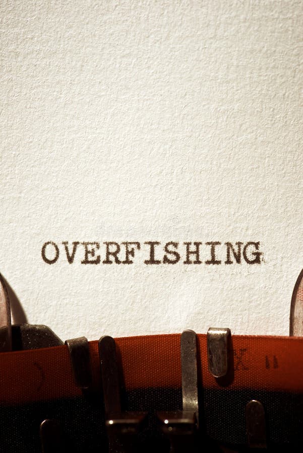 Overfishing concept view stock photo. Image of life - 266047014